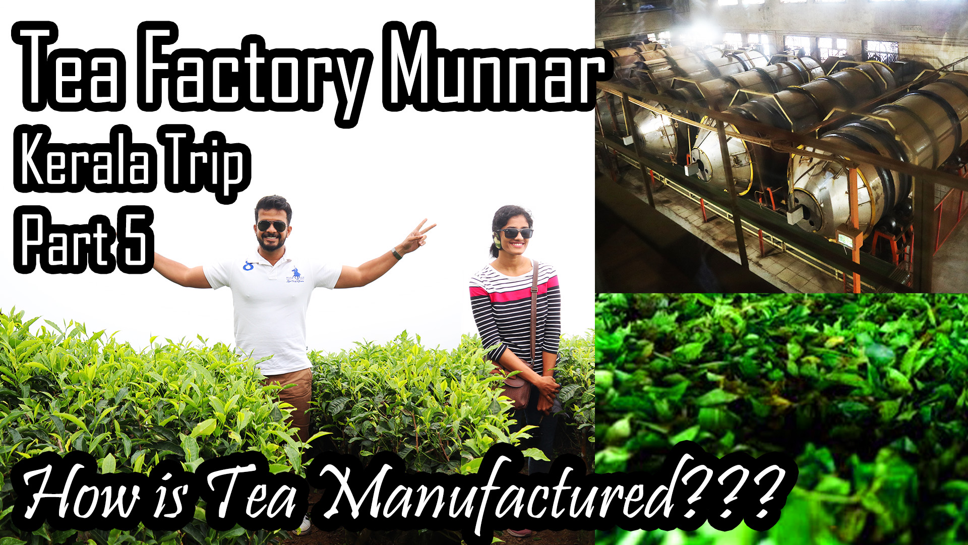How Tea is Manufactured? | Munnar Tea Factory Visit - Travel Techies