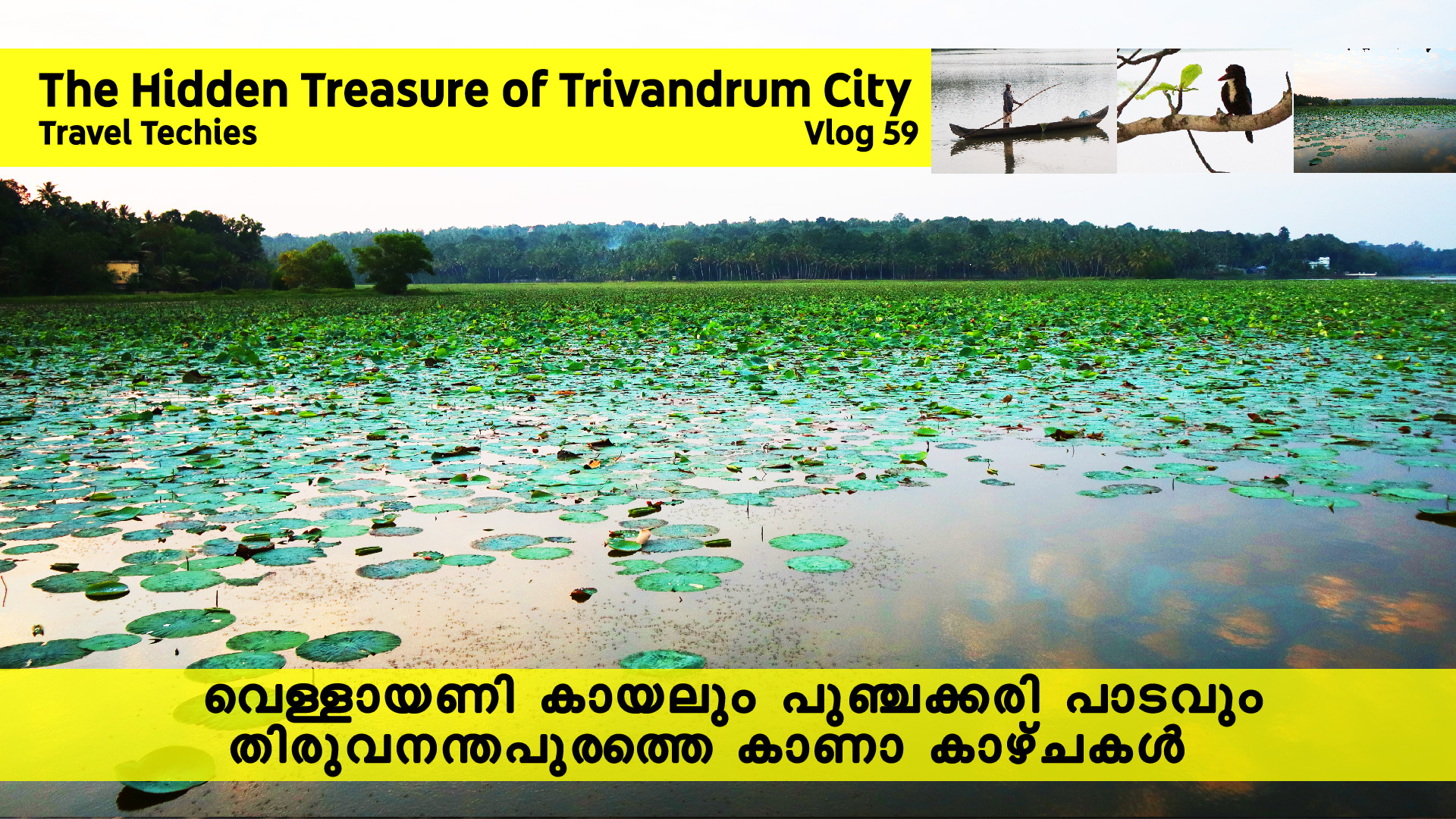 Vellayani Lake | Hidden Treasure of Trivandrum | Punchakkari - Travel ...